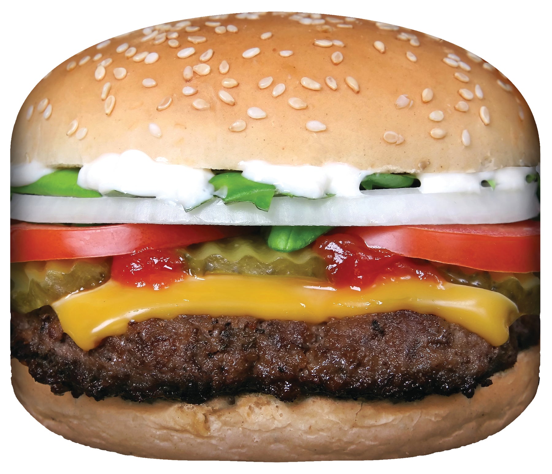 Realistic Hamburger Throw - Novelty Blanket – Calhoun Store